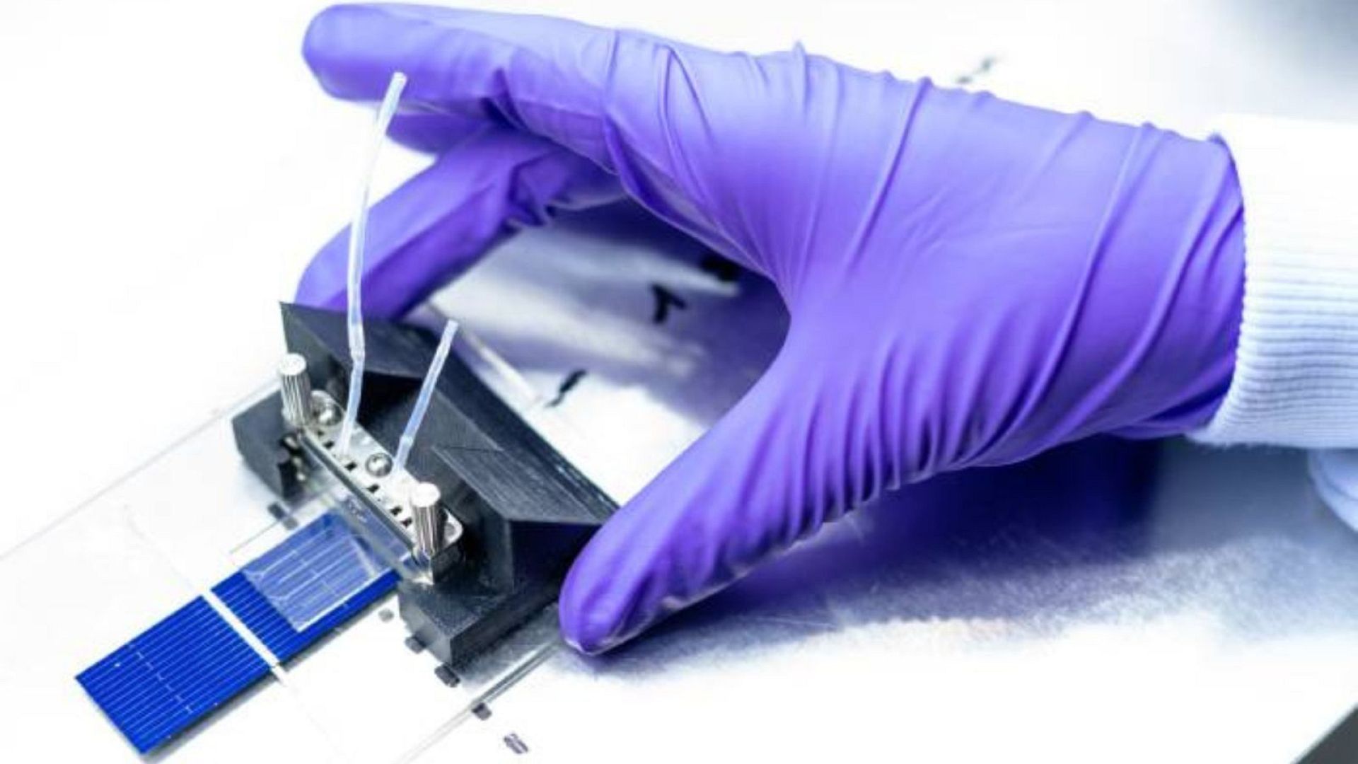 ‘Exciting’ solar breakthrough means energy can be kept in sustainable ...