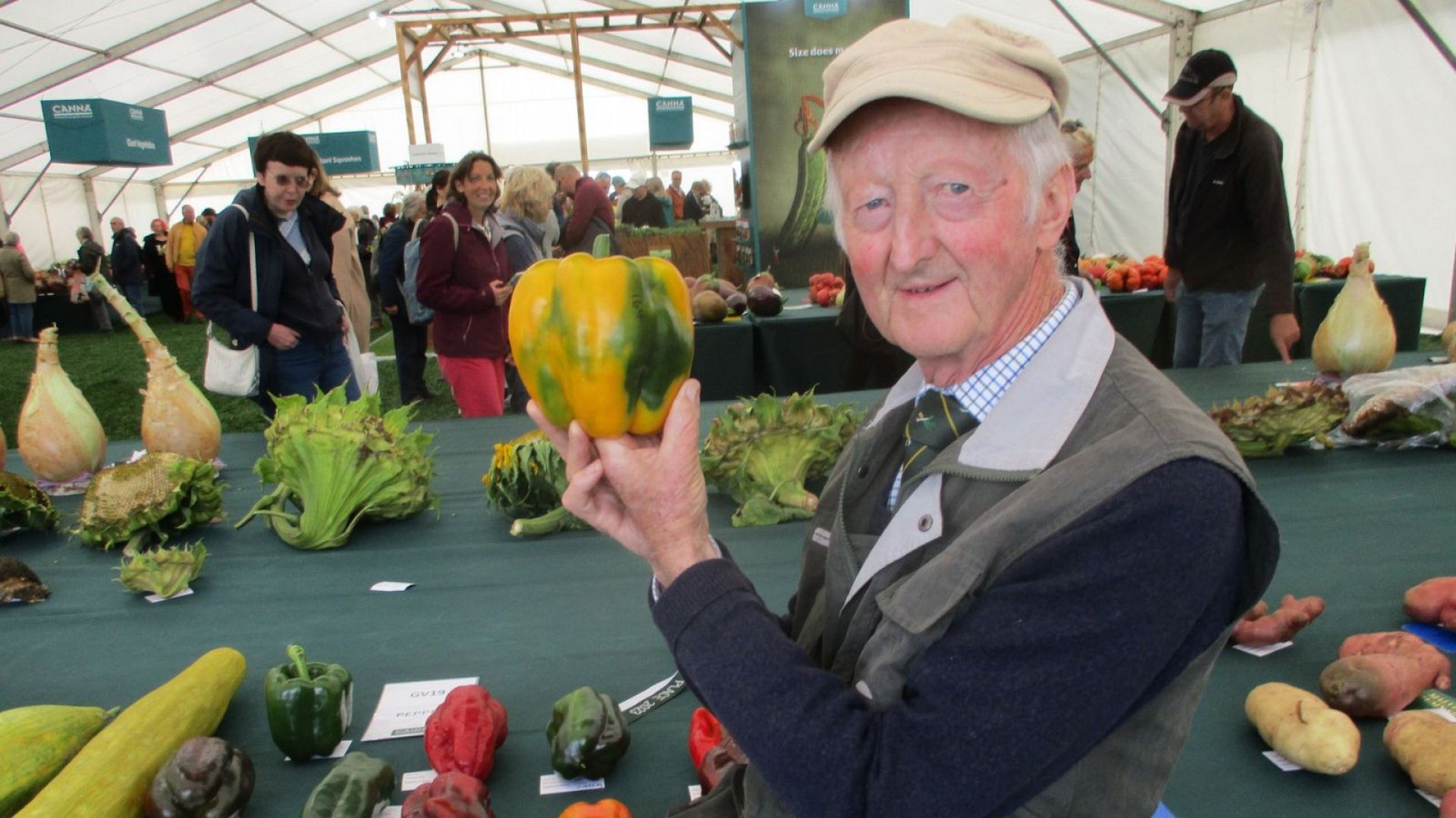 From huge aubergines to long runner beans: Inside the world of giant ...