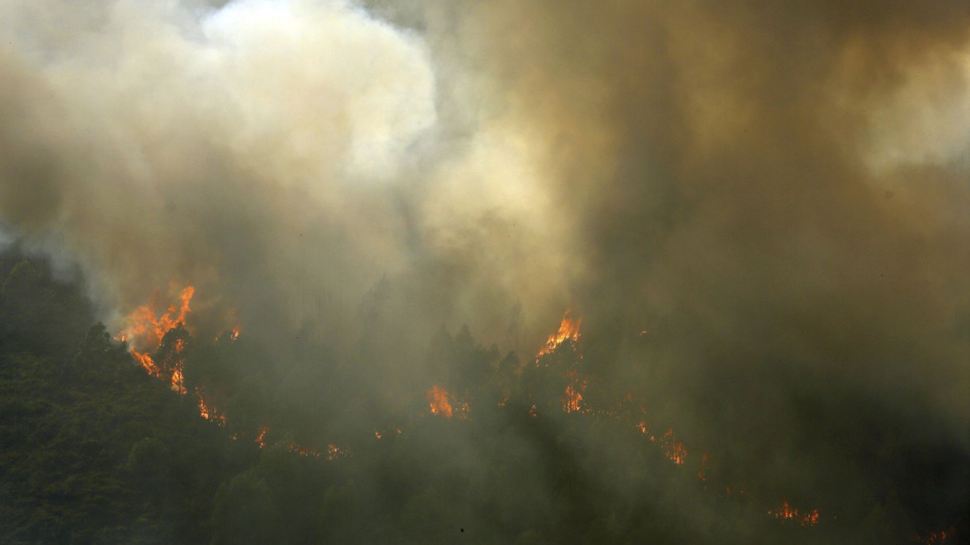 Around a thousand attend funeral for firefighters killed in recent ...