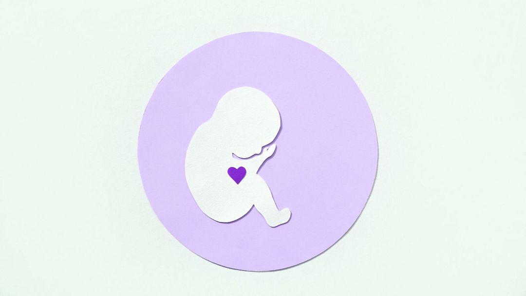 Babies born through fertility treatments like IVF may have higher risk ...