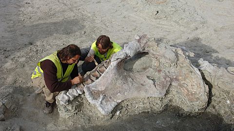 166-million-year-old dinosaur footprints unearthed in astonishing ...