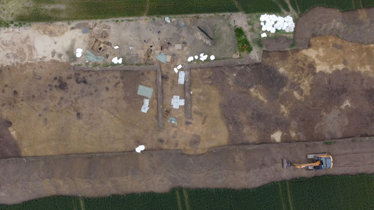Archaeologists discover more than 50 exceptionally well-preserved ...