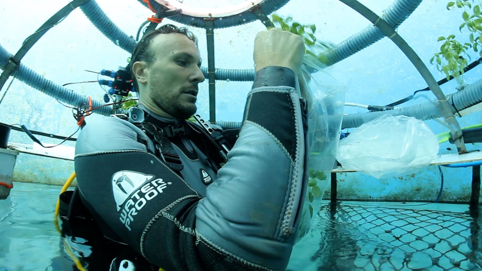 Watch: The future of farming takes root underwater in Italy | Euronews