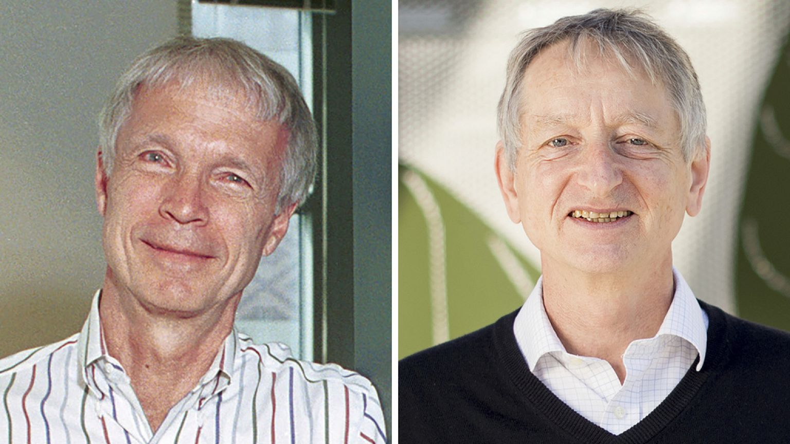 John Hopfield und Geoffrey Hinton erhalten Nobelpreis in Physik | Euronews