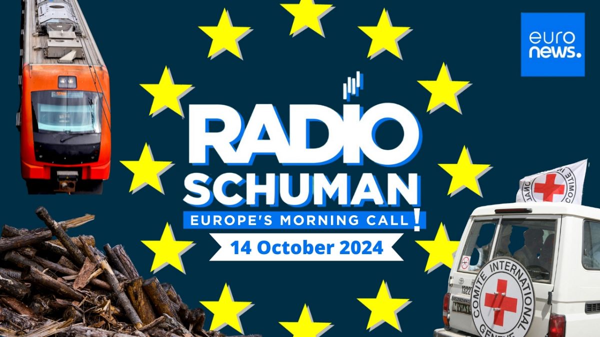 Brussels must keep the humanitarian flag flying, Red Cross EU Office ...