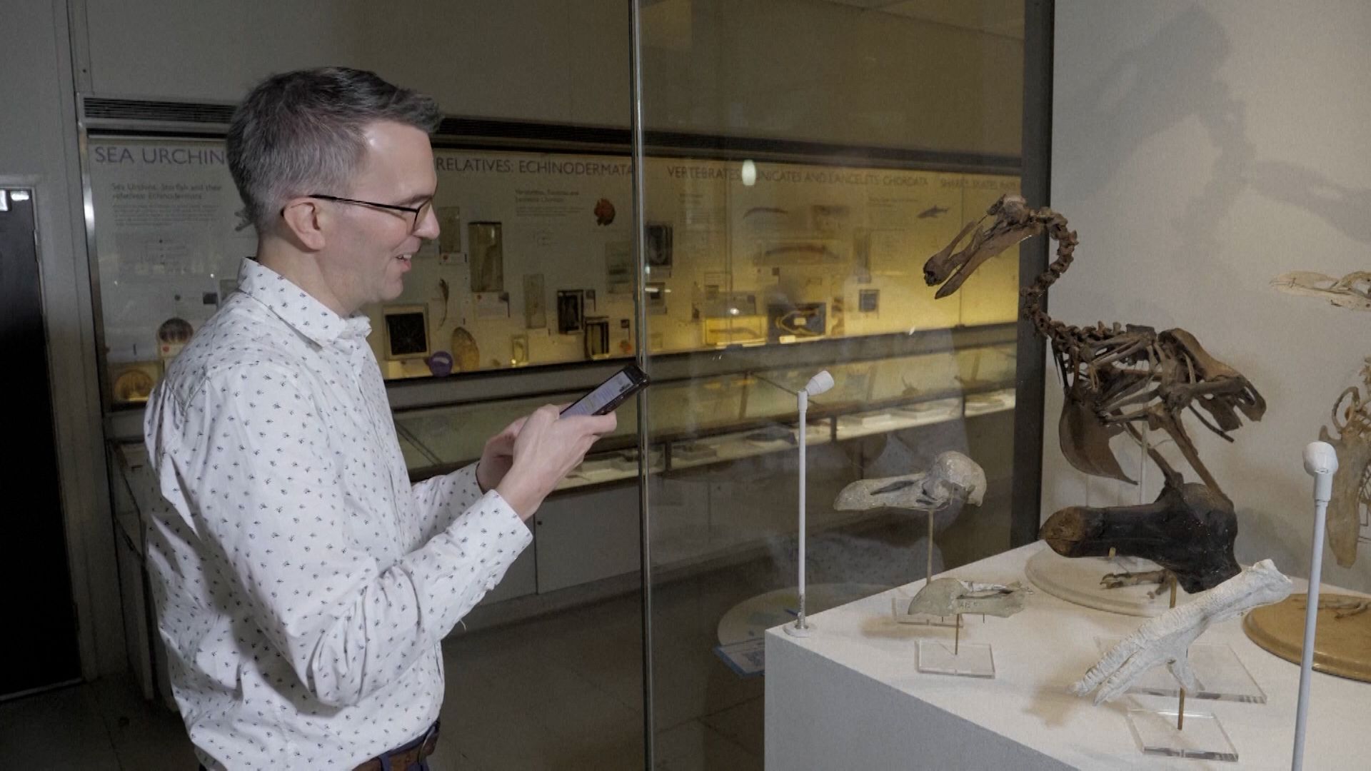 Extinct no more: AI is bringing the dodo back to life (kinda) at a ...