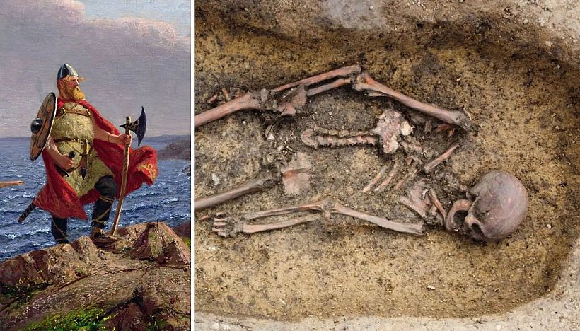 700,000-year-old bone discovery confirms existence of three-foot-tall ...