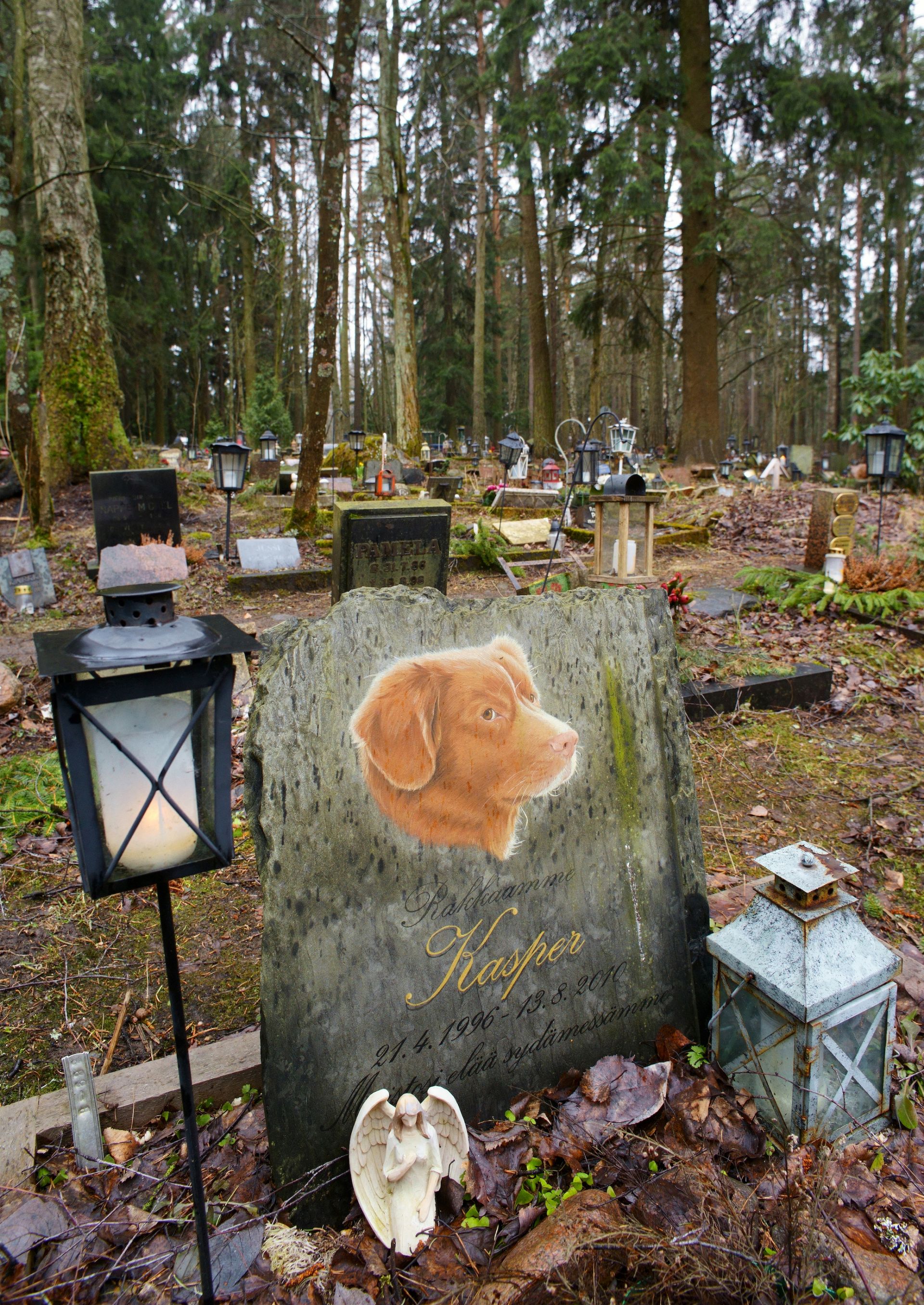 Auf Wiedersehen, Pet: The fascinating history behind Europe's pet ...