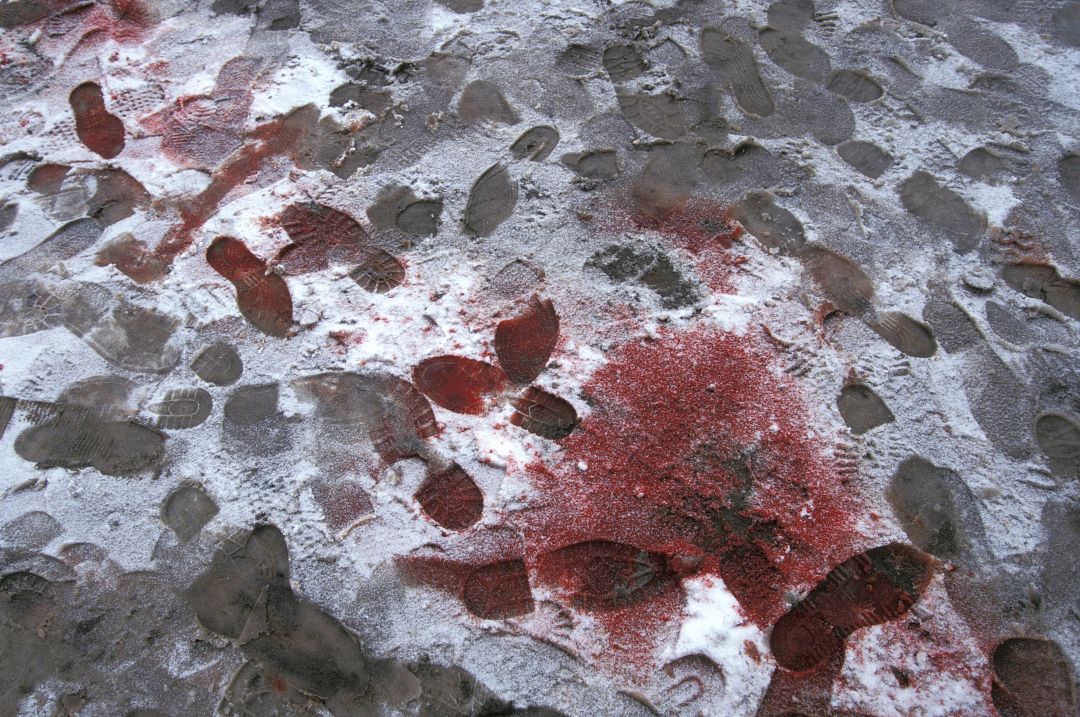 In pictures: Late UK photographer Paul Lowe's historical shots | Euronews