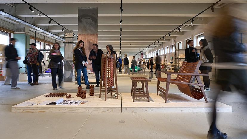 Dive into experimental design at Dutch Design Week in Eindhoven | Euronews