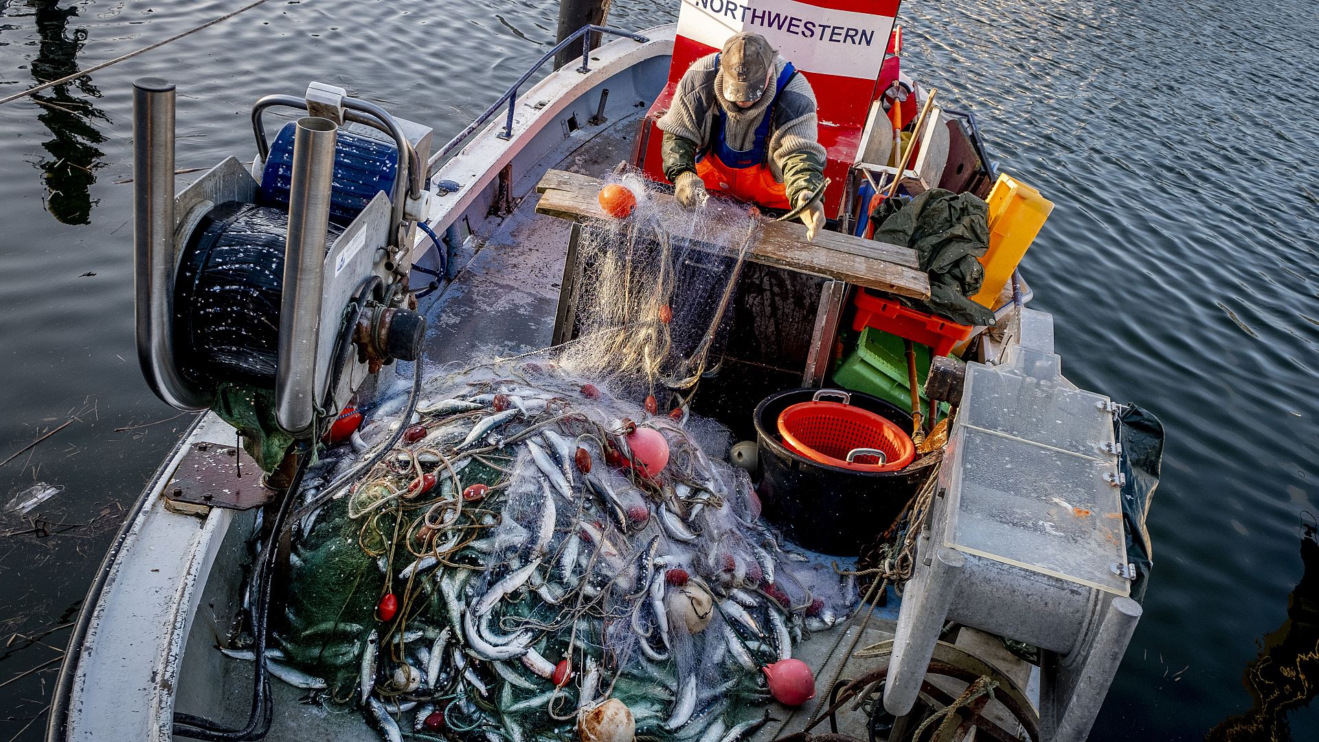 EU ministers set cautious Baltic fish quotas amid fear over Russian ...