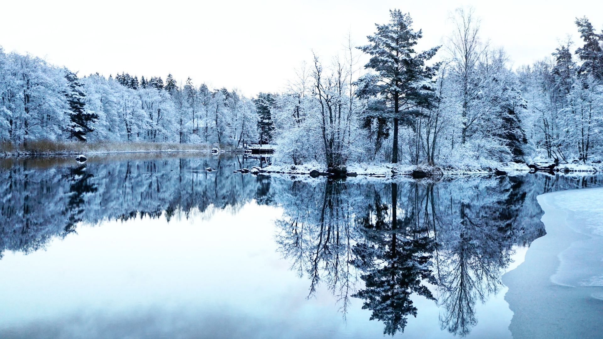 Scandinavian winters could be about to get colder - is a distant ...