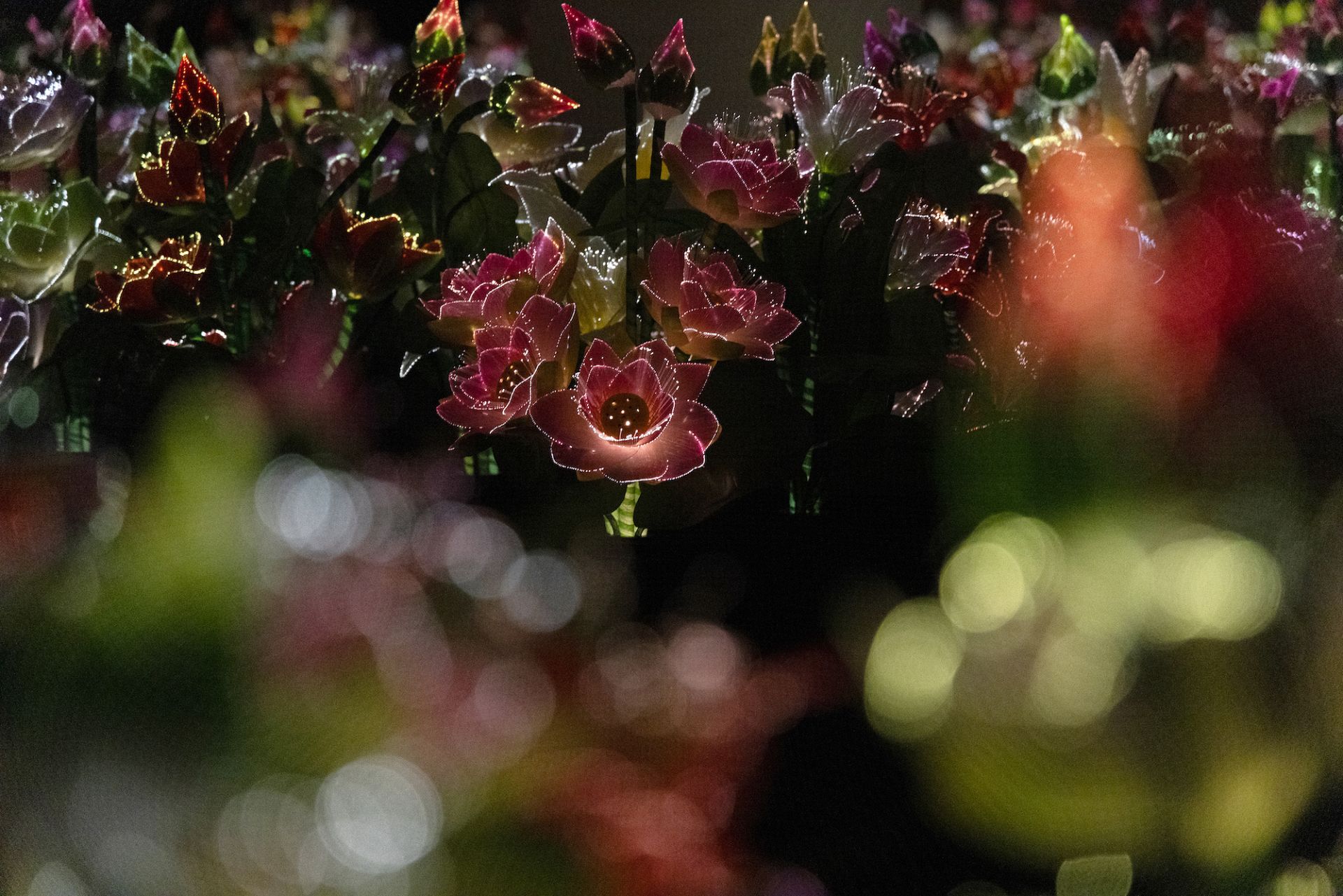 Artistic director Edith Devaney on opening Malta's first national ...