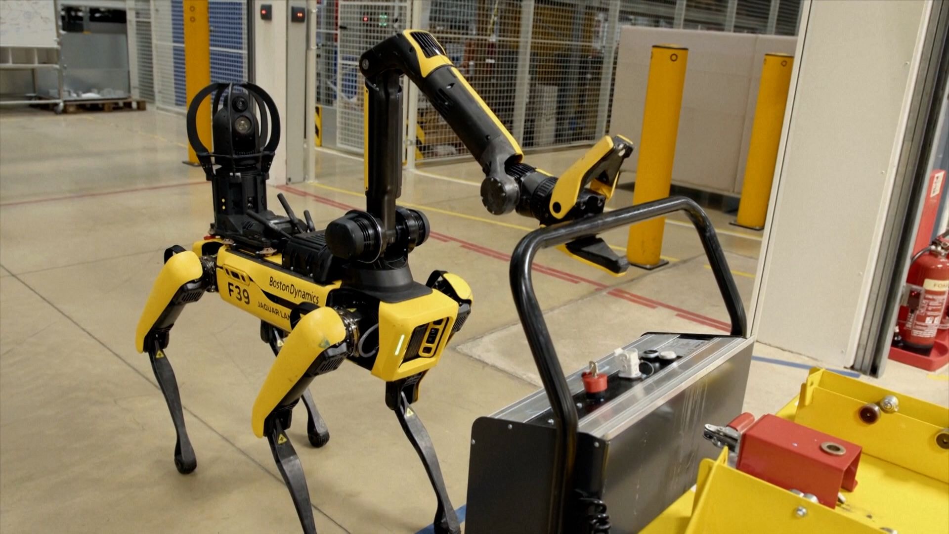 Video. Meet ‘Rover', the AI-driven robot dog | Euronews