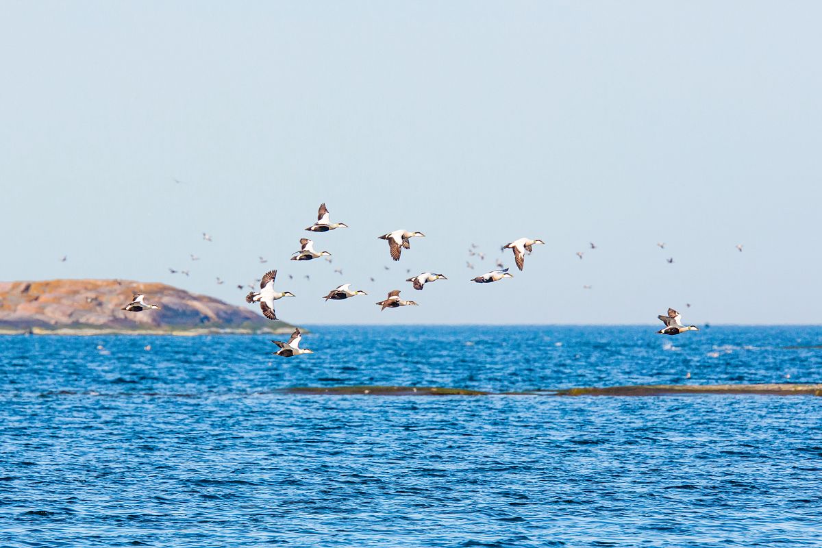 De Karakoum à la mer Caspienne : les merveilles naturelles sauvages du ...