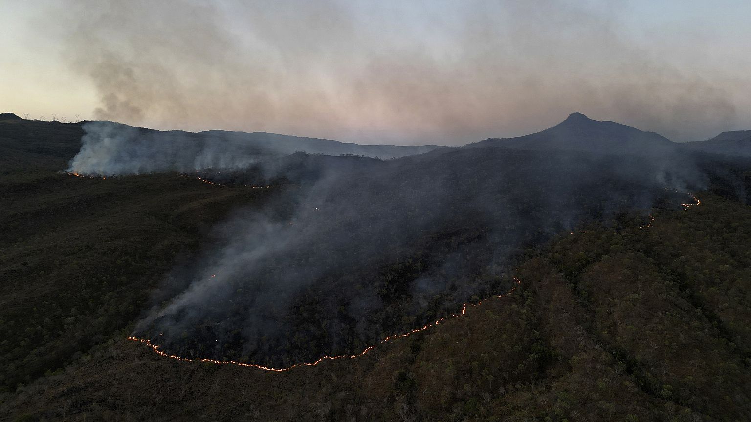 Αναβολή και χαλάρωση του νόμου της ΕΕ για την αποψίλωση των δασών από ...