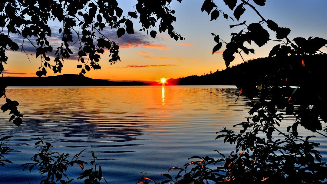 Coolcations: Nordic countries are reinventing your next summer holiday ...