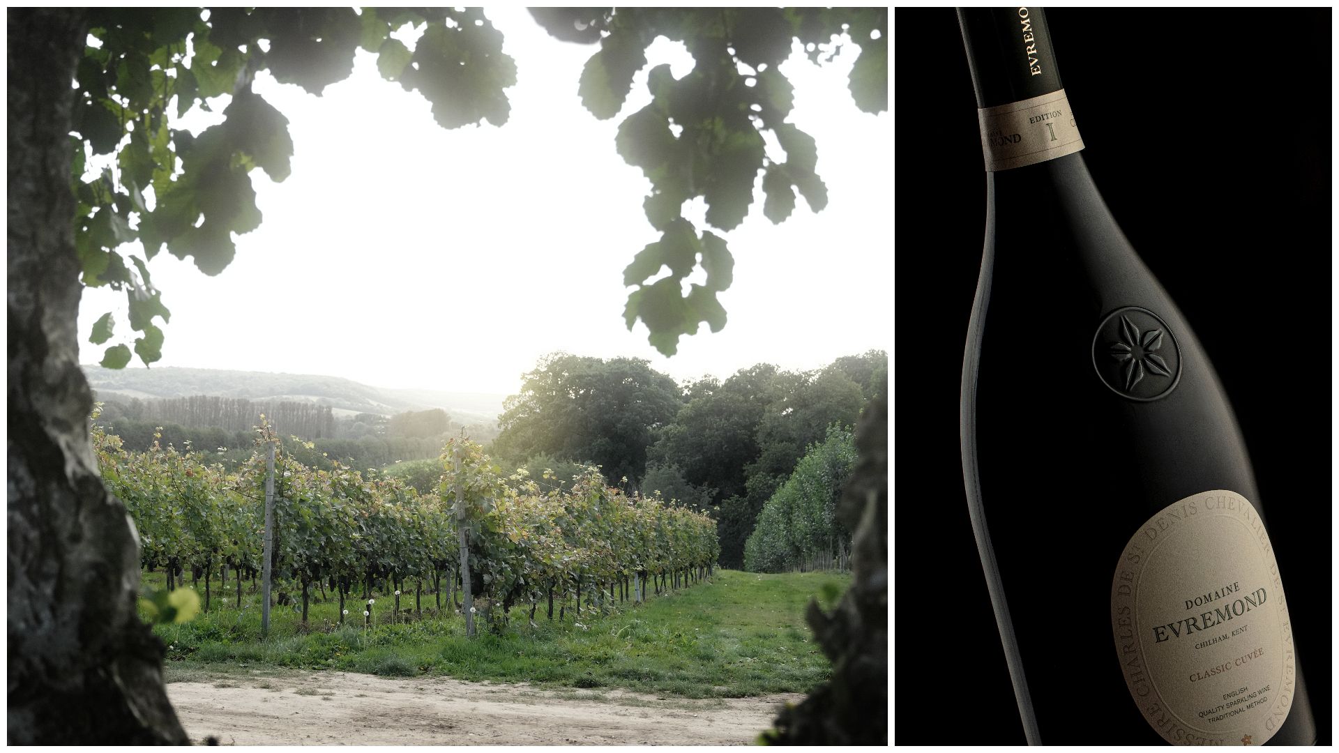 Why French winemakers are buying up huge swaths of land in Southern ...