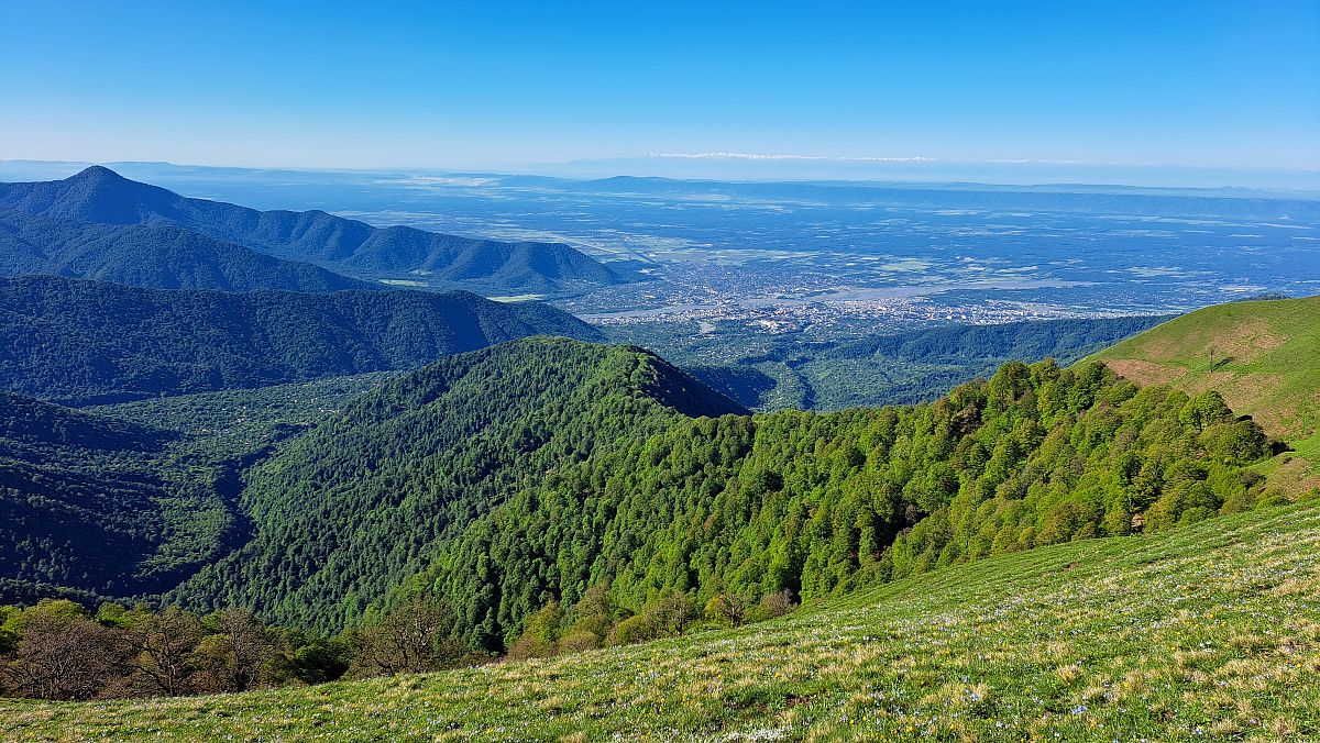 Travel Zagatala: Tour Azerbaijan's abundant Land of Roses | Euronews
