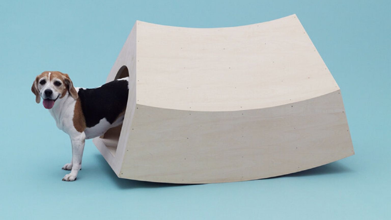 In the doghouse: Architecture for Dogs exhibition opens at Milan’s ADI ...