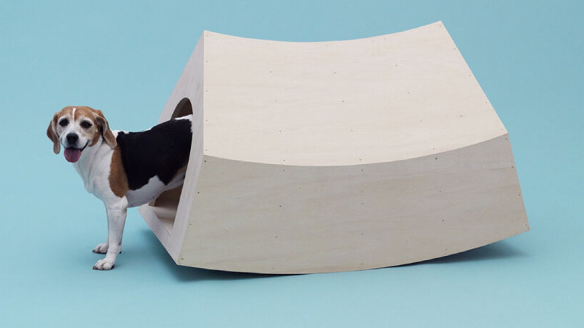 In the doghouse: Architecture for Dogs exhibition opens at Milan’s ADI ...
