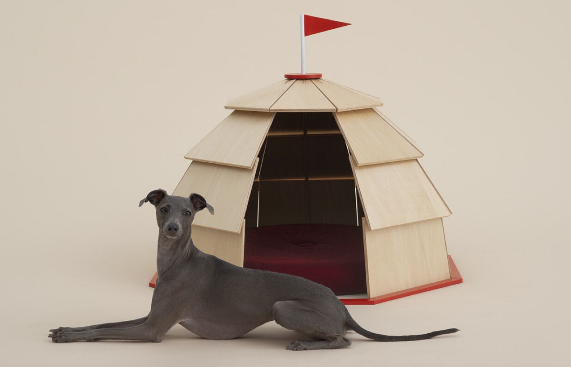 In the doghouse: Architecture for Dogs exhibition opens at Milan’s ADI ...