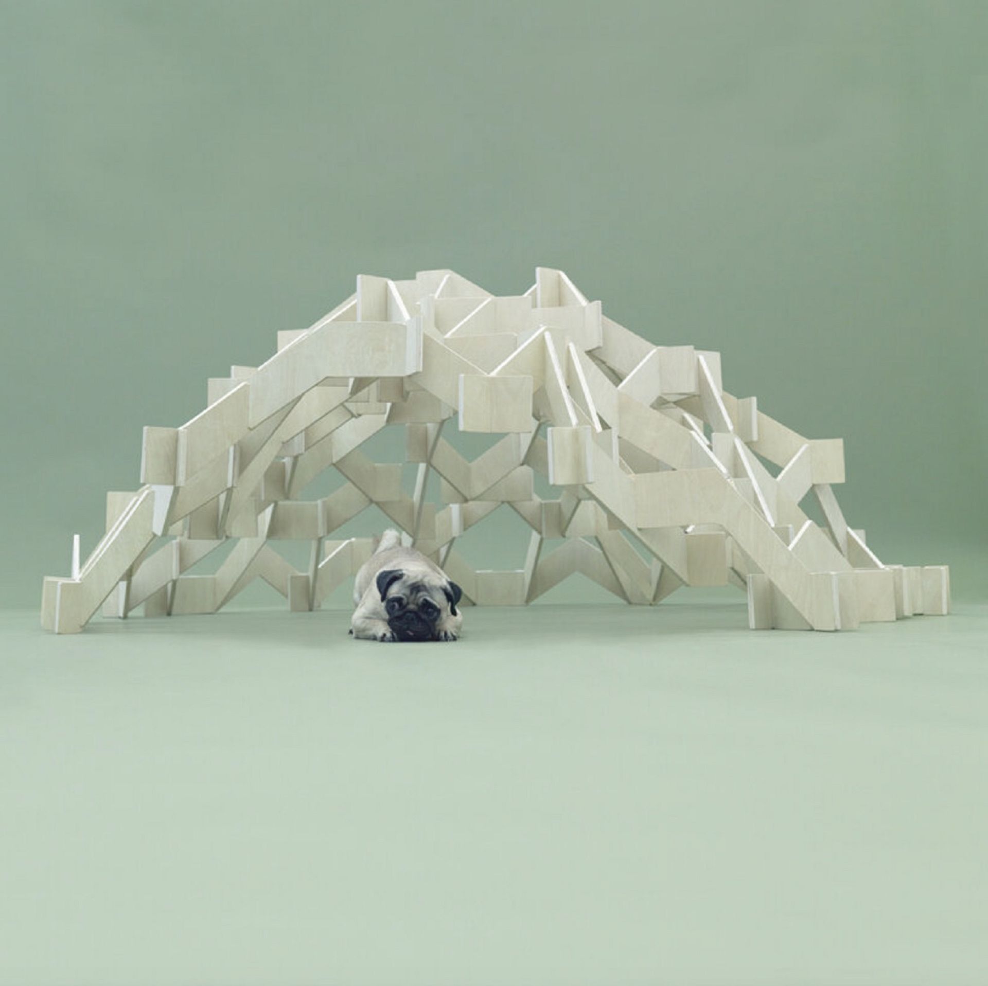 In the doghouse: Architecture for Dogs exhibition opens at Milan’s ADI ...