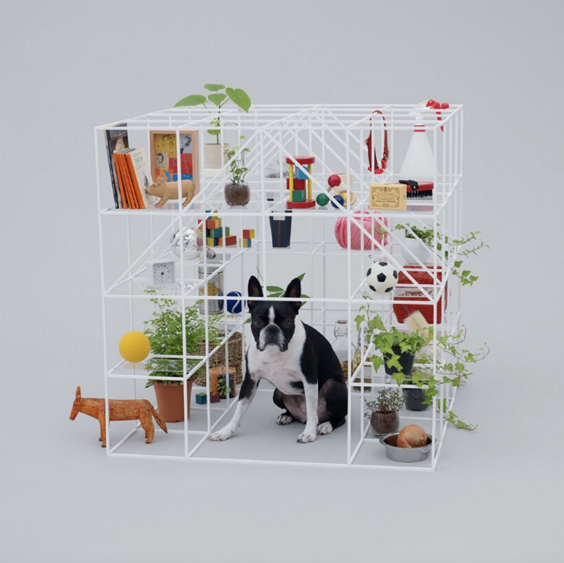 In the doghouse: Architecture for Dogs exhibition opens at Milan’s ADI ...