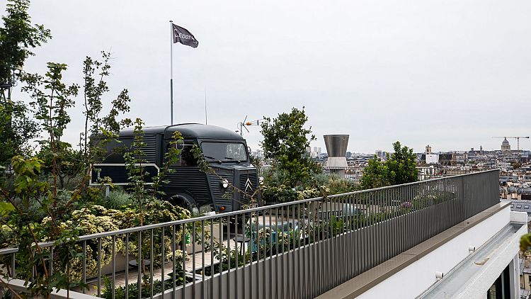 A slice of Apple in Paris: Inside crypto company Ledger's new multi ...