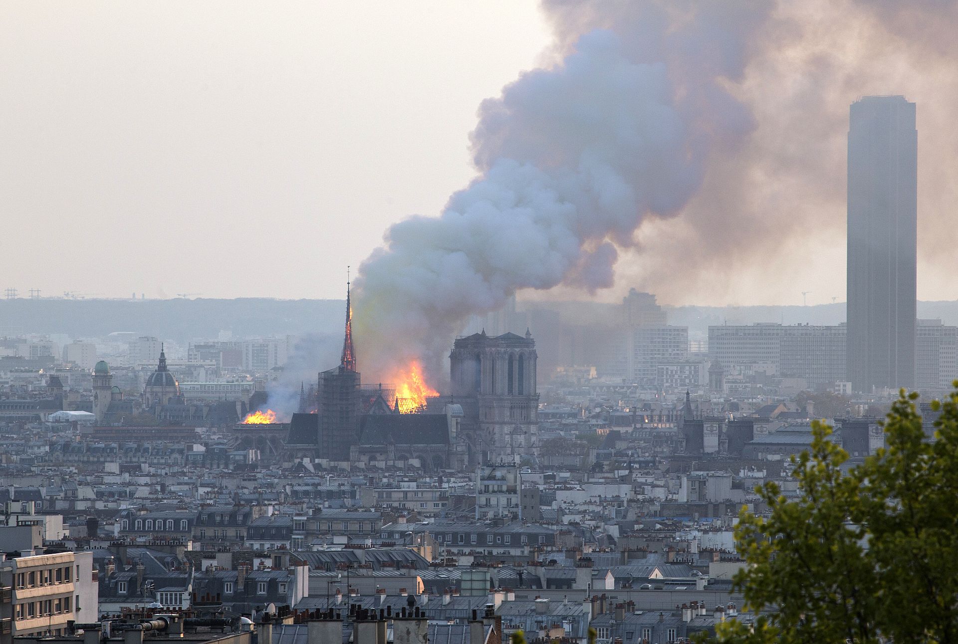 Cronología de la reconstrucción de Notre Dame de París | Euronews
