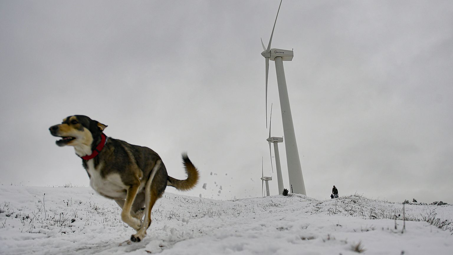 Storm Darragh leaves hundreds of thousands in the UK and Ireland ...