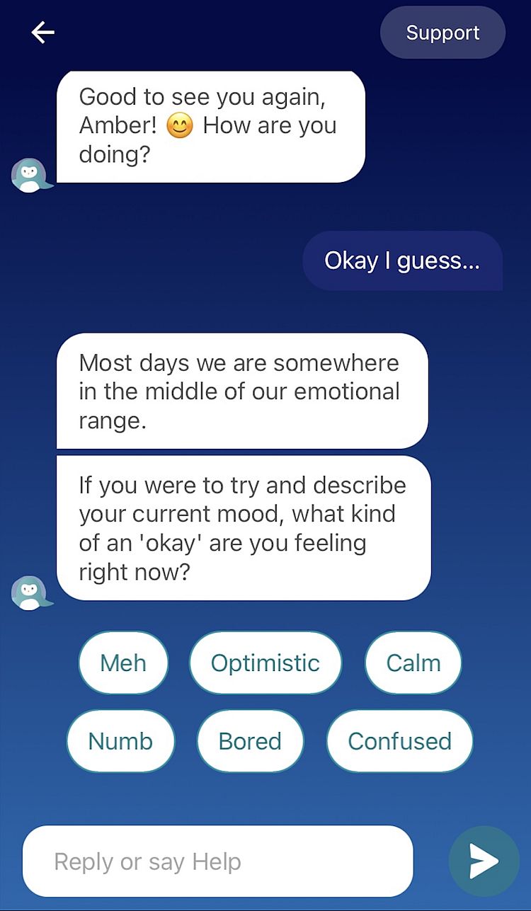 Paging doctor bot: Why AI therapy is providing hope in the midst of a ...