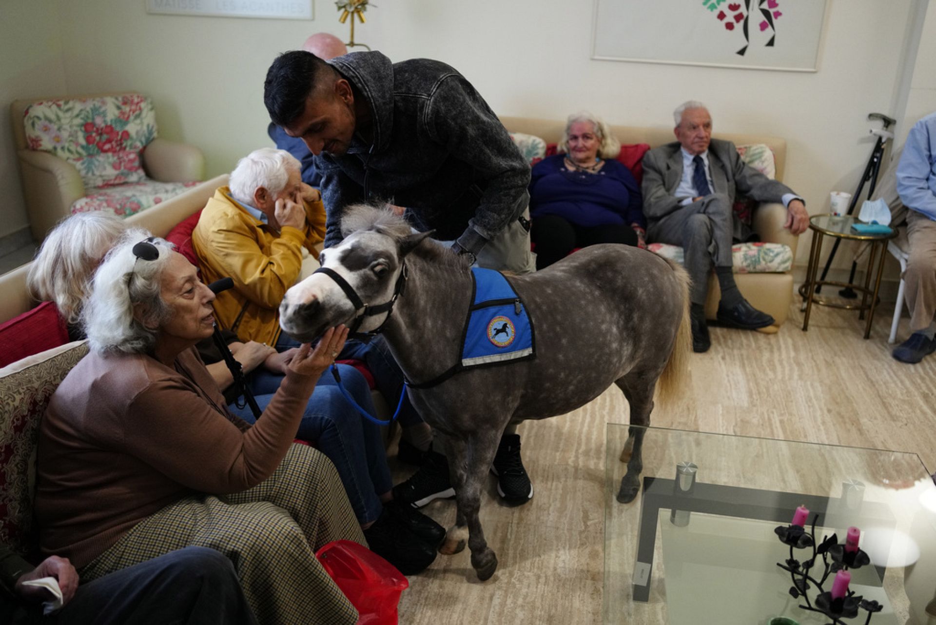 Miniature therapy horses bring joy to Athens’ vulnerable communities ...