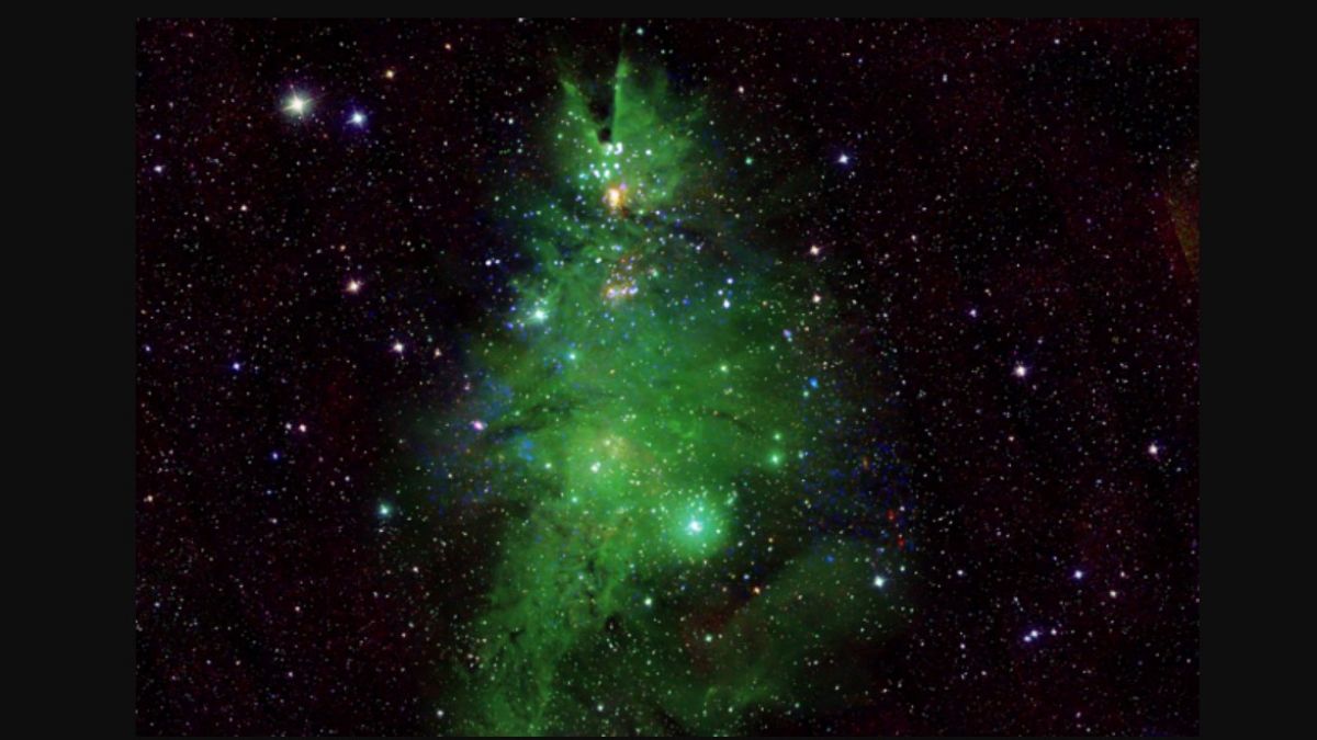 NASA uzaydaki 'yılbaşı ağacını' görüntüledi | Euronews