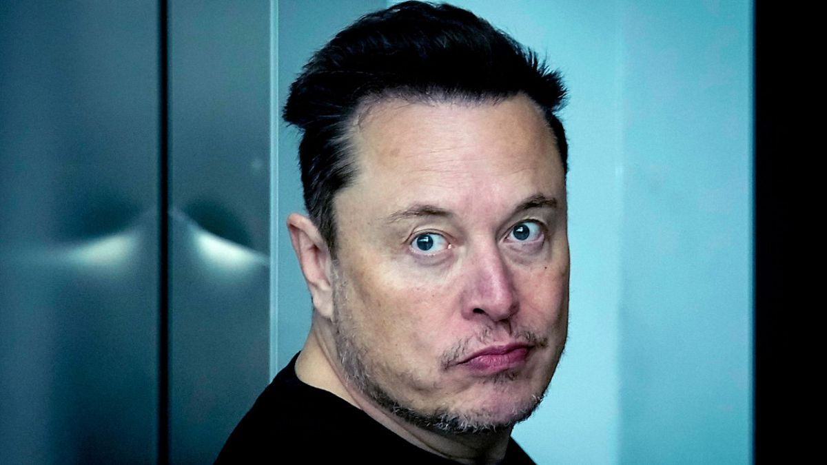 Adrian Dittmann aslında Elon Musk mı? | Euronews