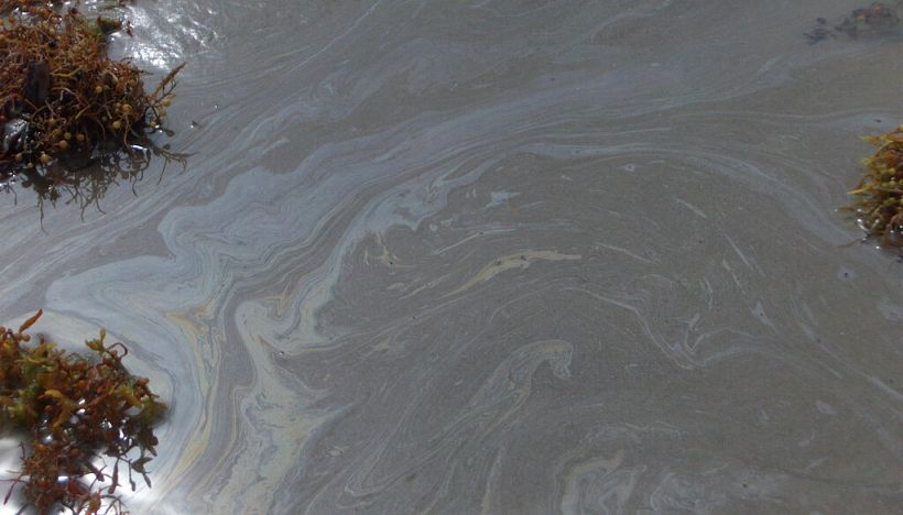 Russia continues December's Kerch Strait oil spill clean-up from two ...