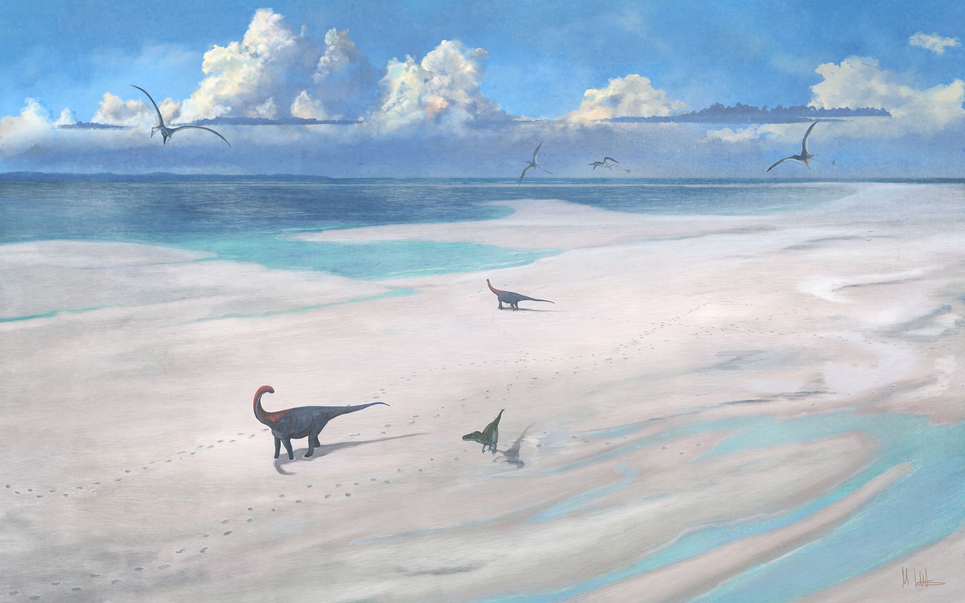 166-million-year-old dinosaur footprints unearthed in astonishing ...