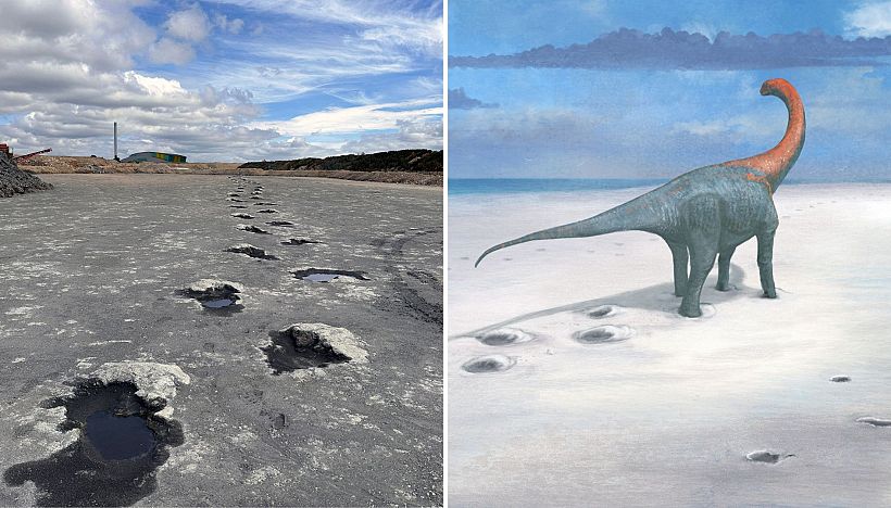 Meet Enigmacursor: New dinosaur species unveiled at London's Natural ...