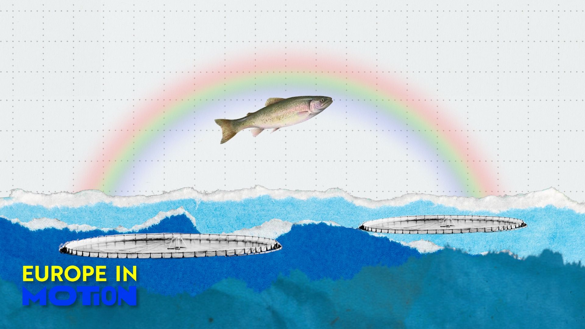 Organic fish farms: Which EU countries are at the forefront? | Euronews