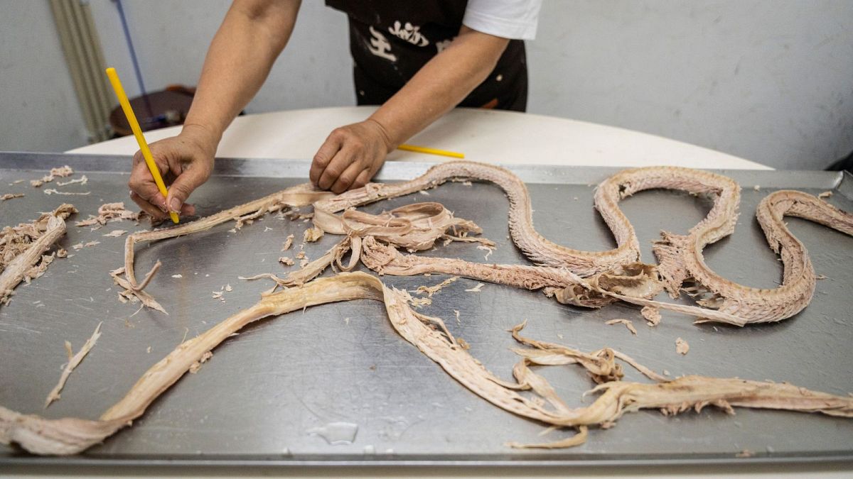 Chinese New Year 2025: Everything you need to know about the Year of ...