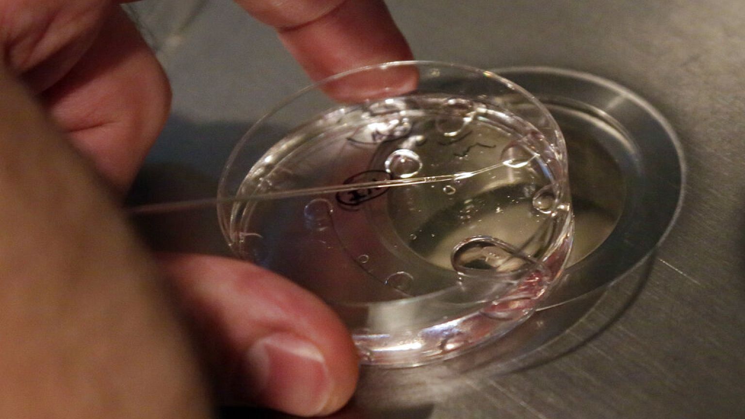Poland welcomes first birth since IVF policy change | Euronews
