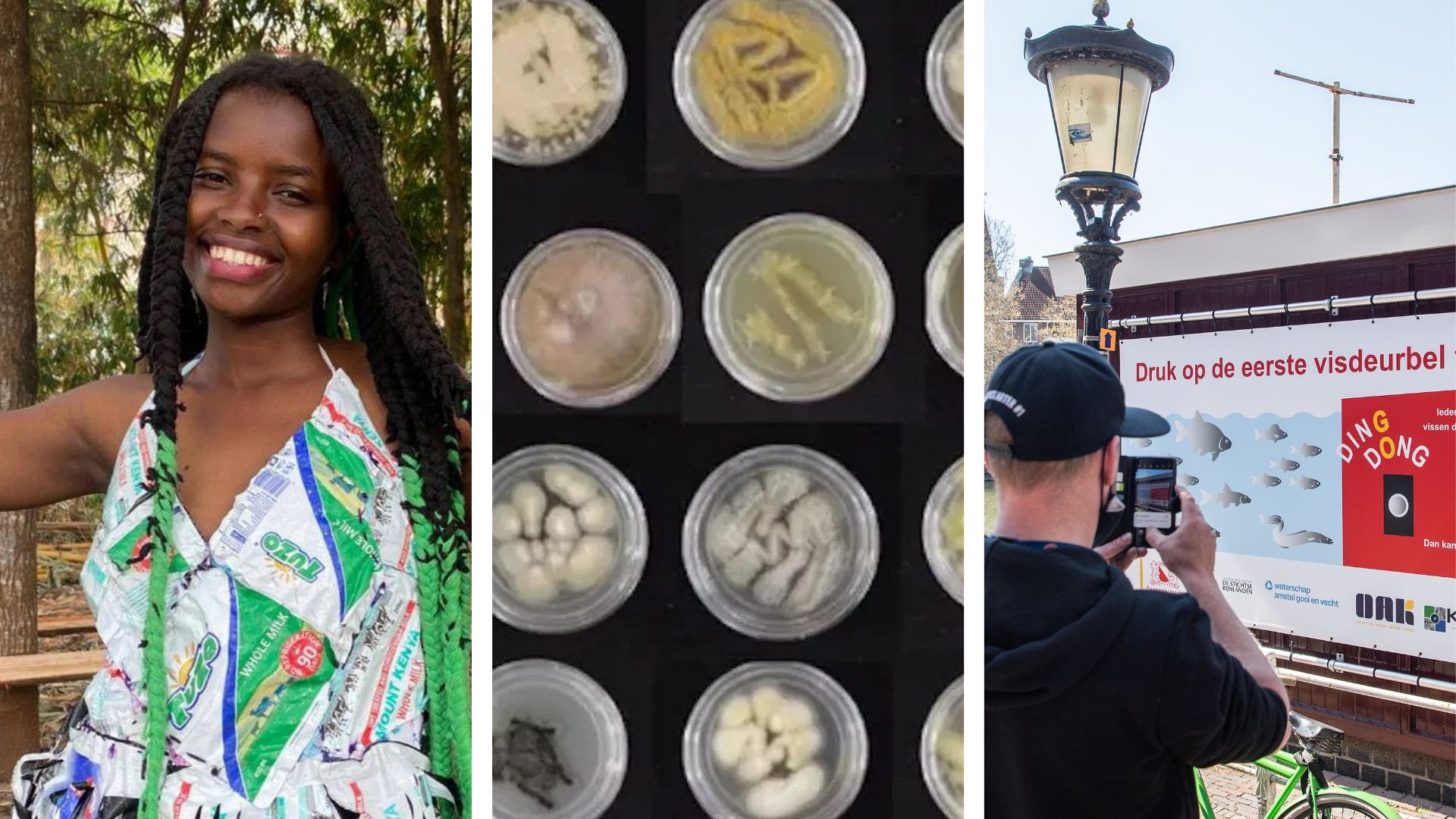 Historias medioambientales positivas de 2025 para combatir la ansiedad ...