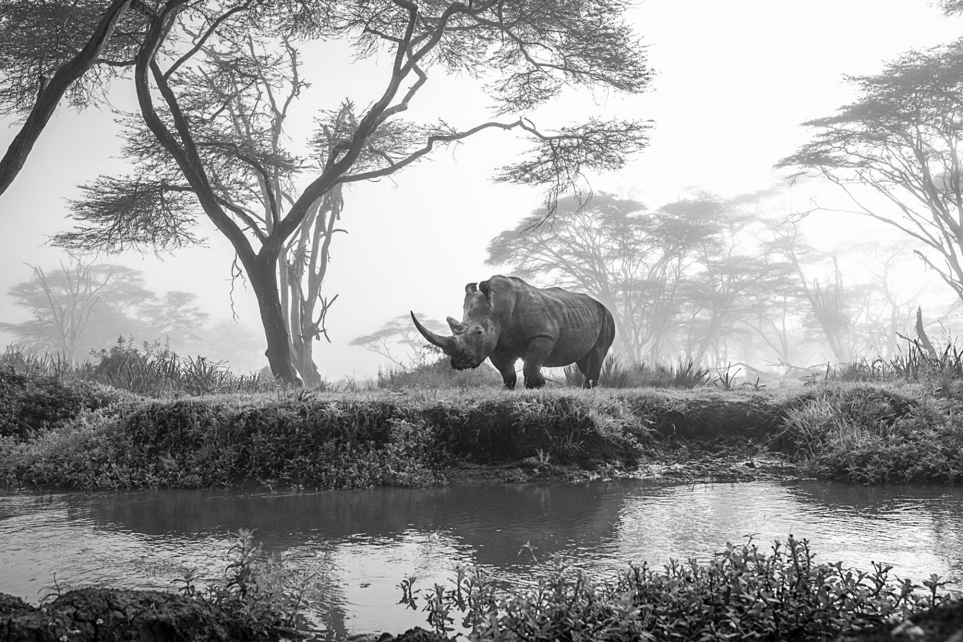 Take a look at these breathtaking images from Sony World Photography ...