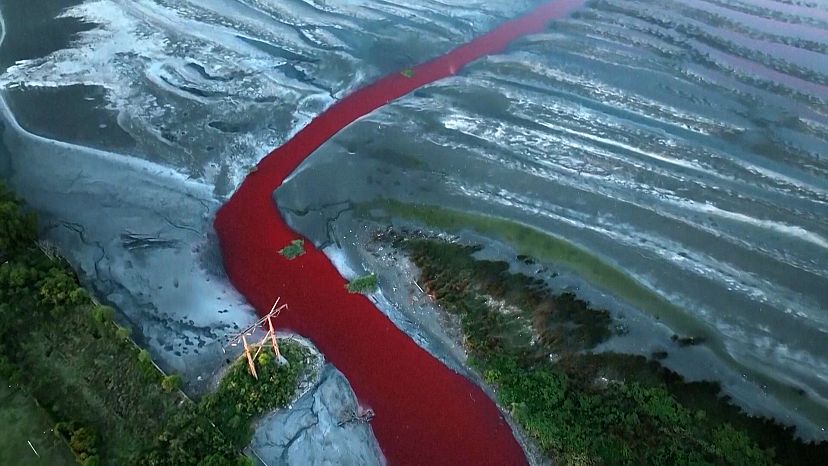 Video. Brasilien: Roter Fluss weckt Ängste vor Verschmutzung | Euronews