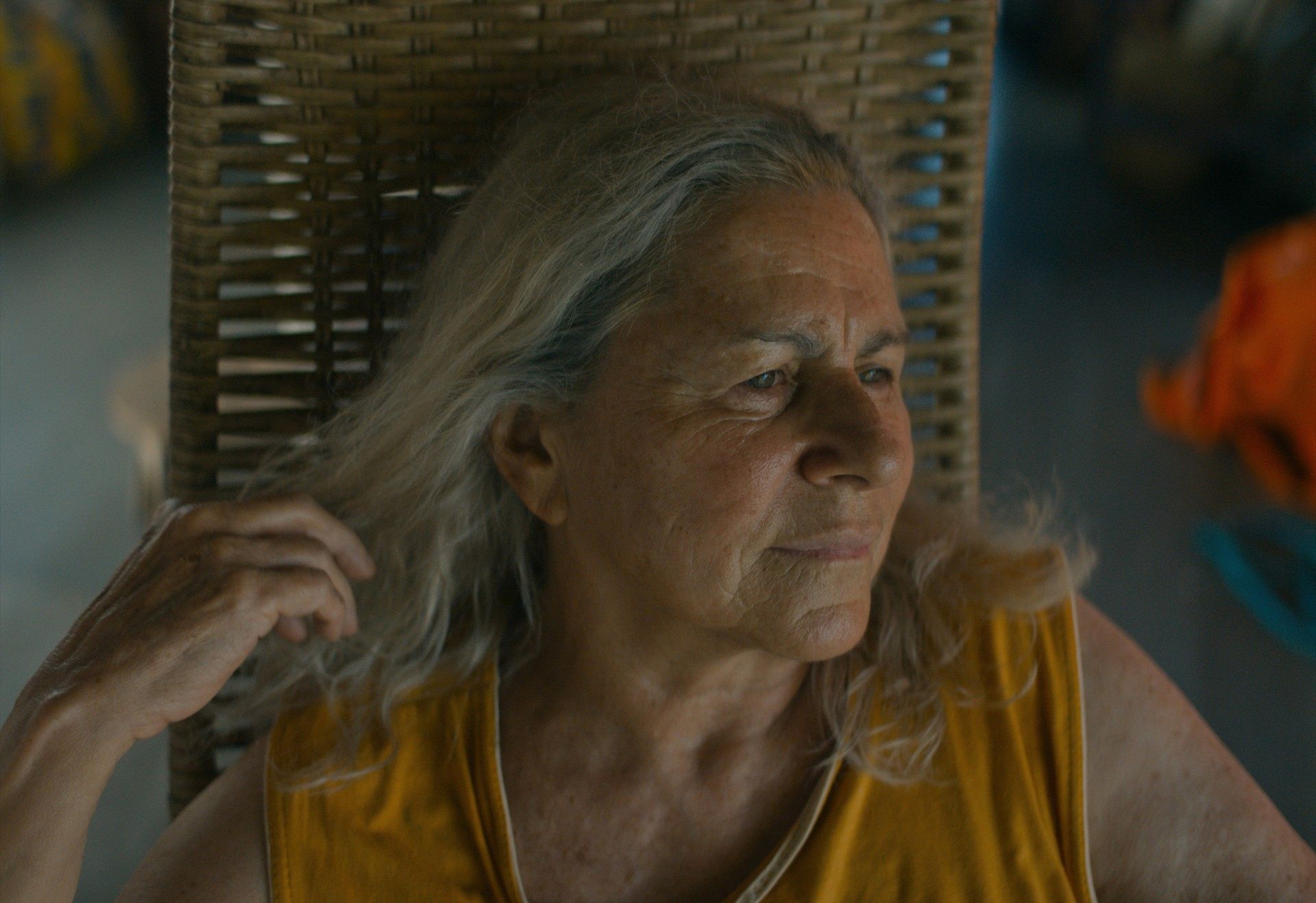 Berlinale 2025 review: 'O último azul' ('The Blue Trail') - Can Brazil ...