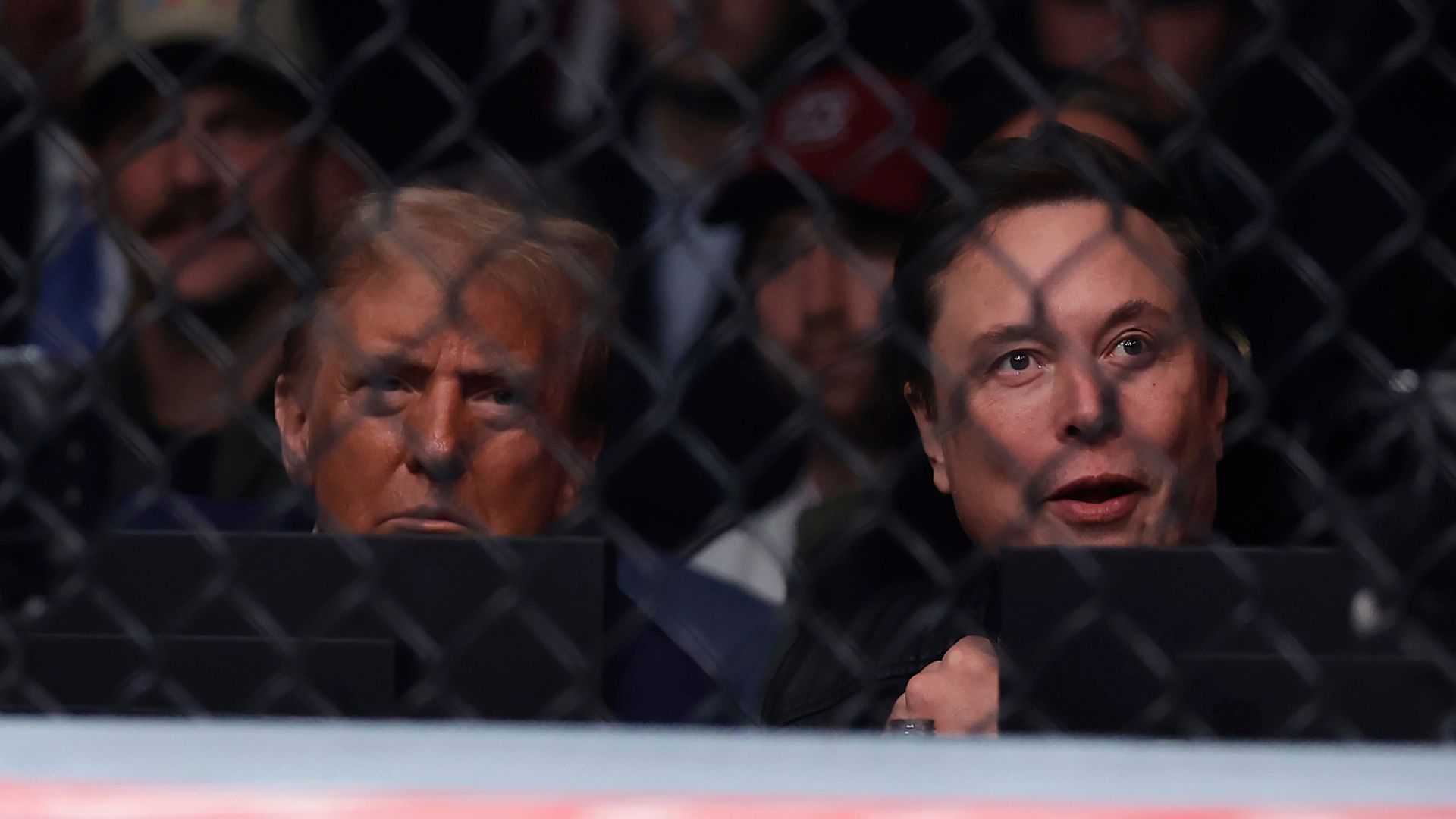 Video. Trump claims Musk has no conflicts of interest as DOGE guts ...