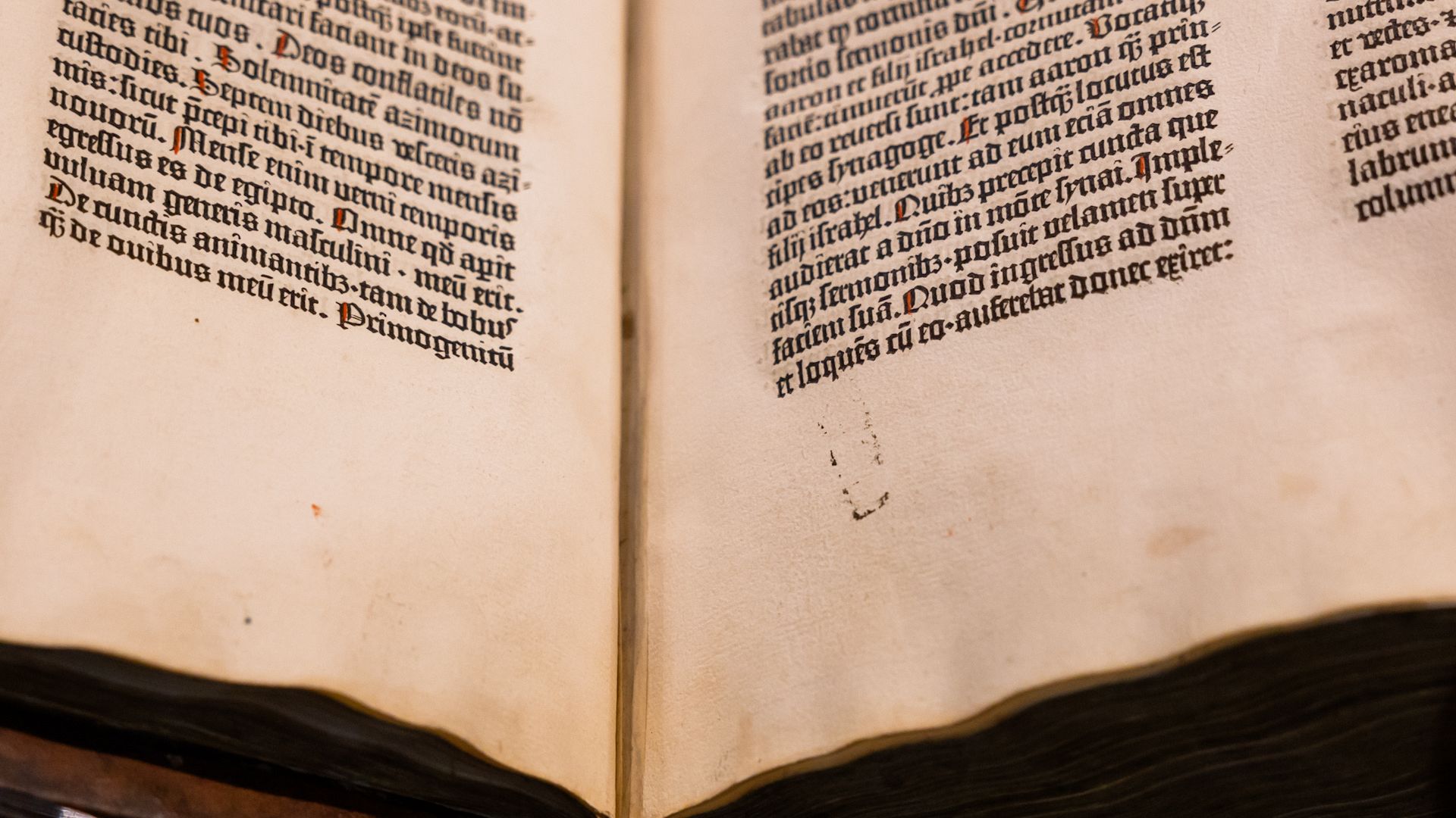 Priceless, 570-year-old Gutenberg Bible on display in Warsaw | Euronews