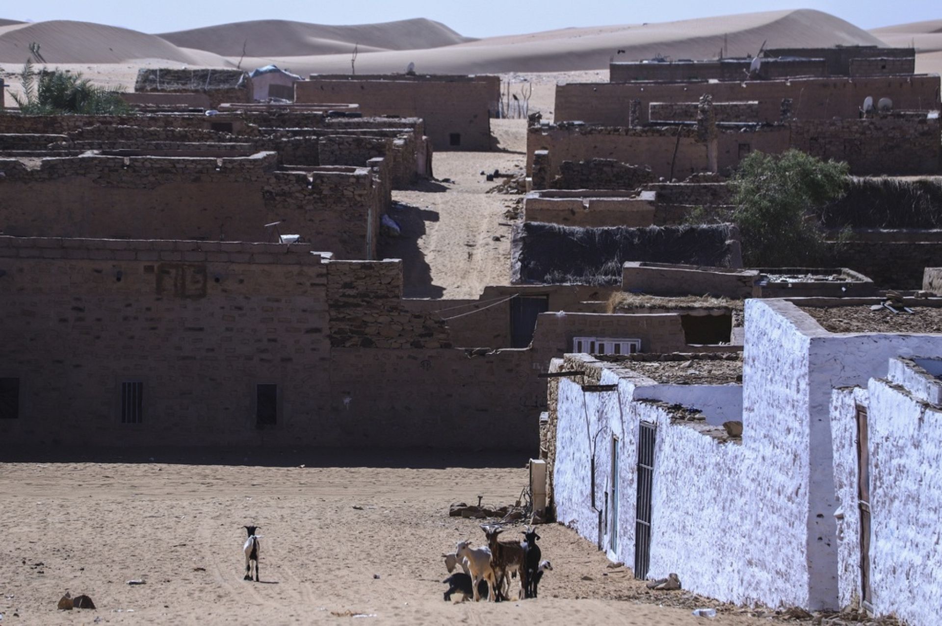 'Surrounded by an ocean of sand': Desertification pushes ancient city ...