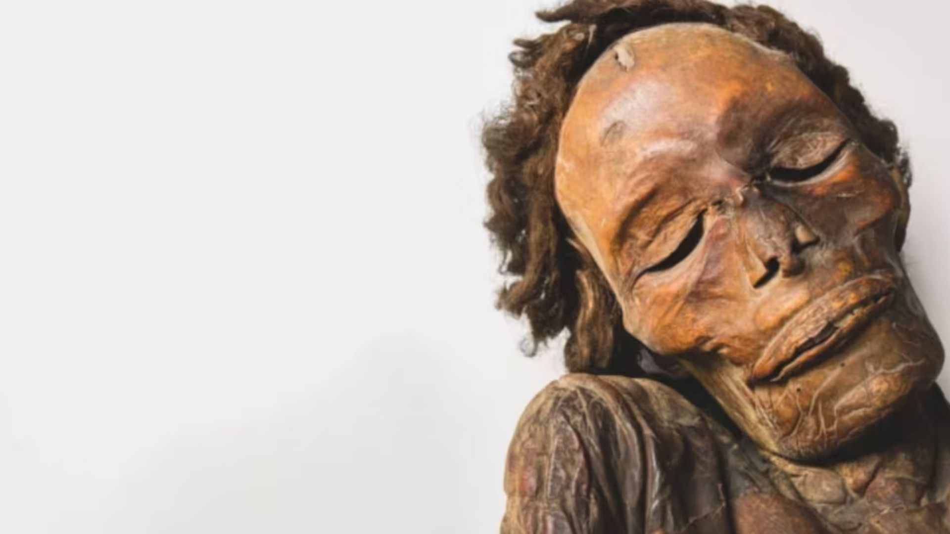 Spanish government removes mummy remains from museum view | Euronews