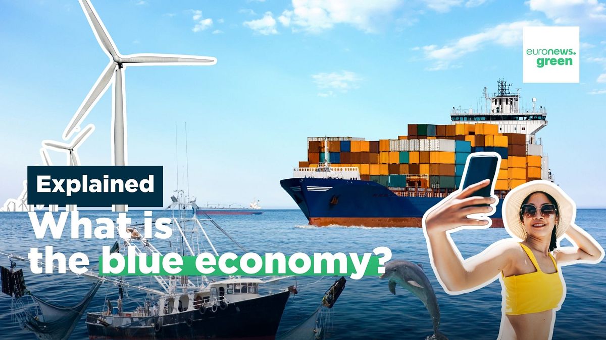 Video. The blue economy: Can it make ocean use sustainable? | Euronews